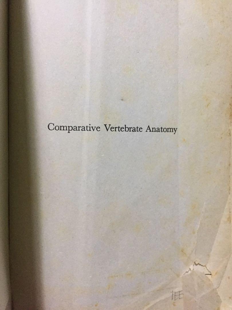 Comparative Vertebrate Anatomy by Libbie Henriette Hyman , Hobbies ...