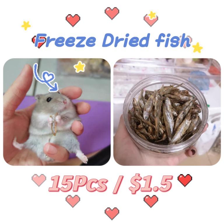 Hamster Freeze Dried food &Hamster treats, Pet Supplies, Pet Food on ...