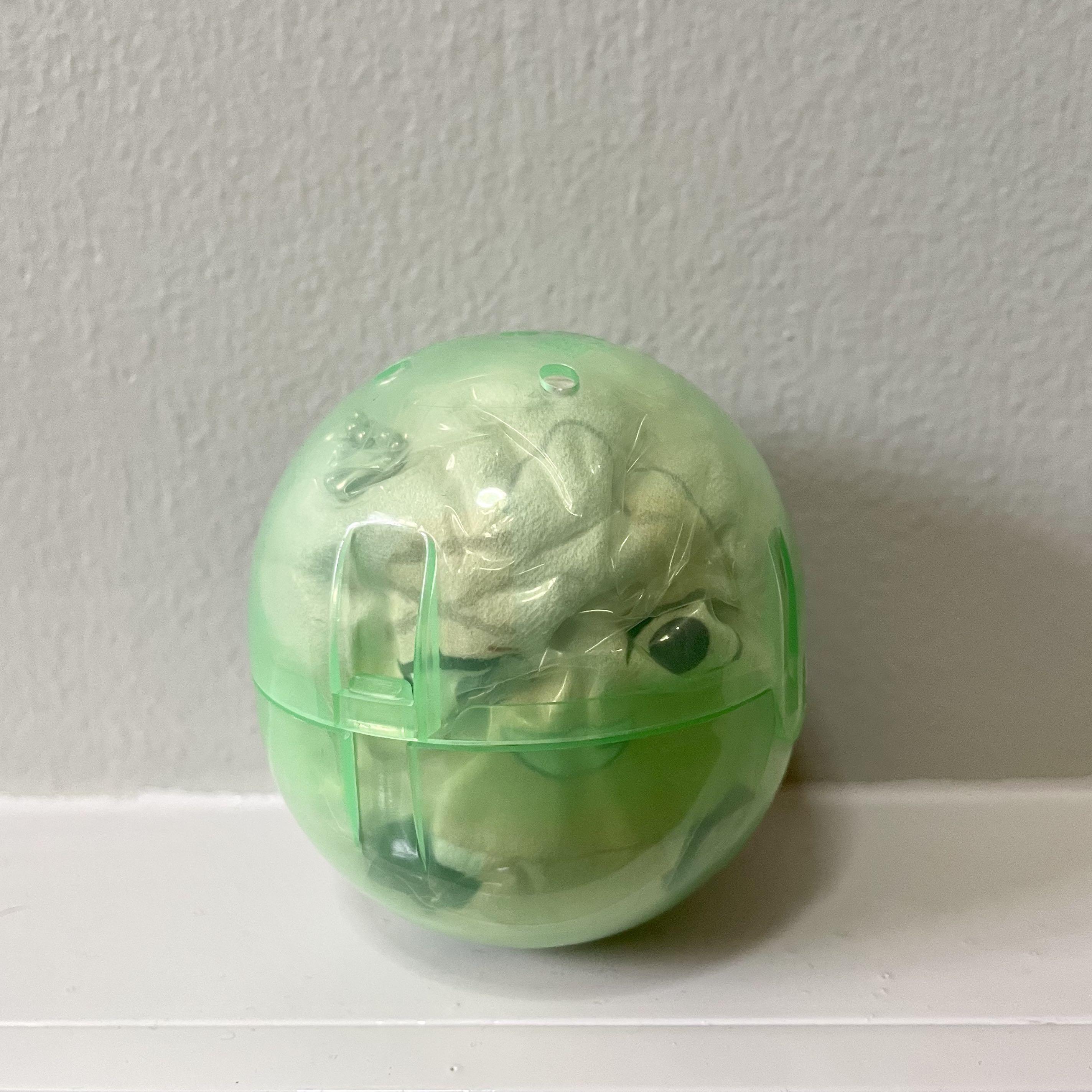 ⭐️ BNIP ⭐️ Kimetsu no Yaiba/Demon Slayer - Sanemi Shinazugawa Munimuni ...