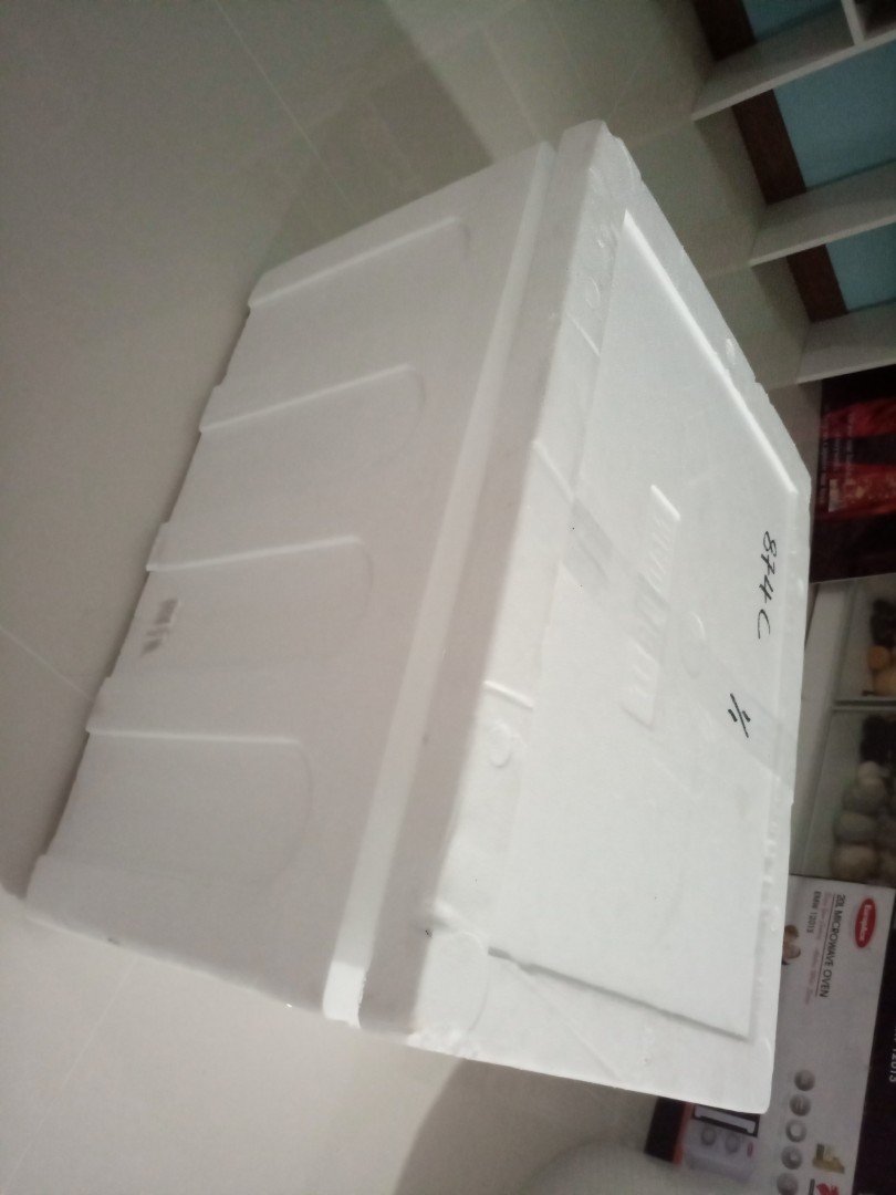 Used large Styrofoam box, Furniture & Home Living, Home Improvement ...
