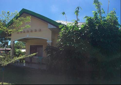 05283-CDO-130 (House and lot for sale at Tagoloan), Property, For Sale ...