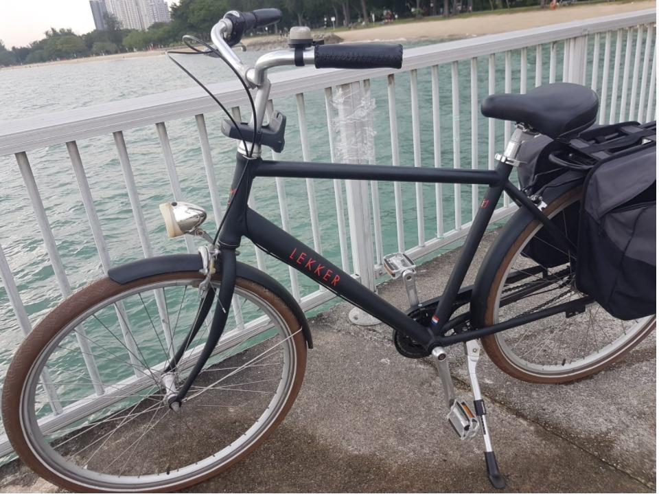 LEKKER Jordaan (Dutch) bicycle - 7 speed bike, Sports Equipment ...