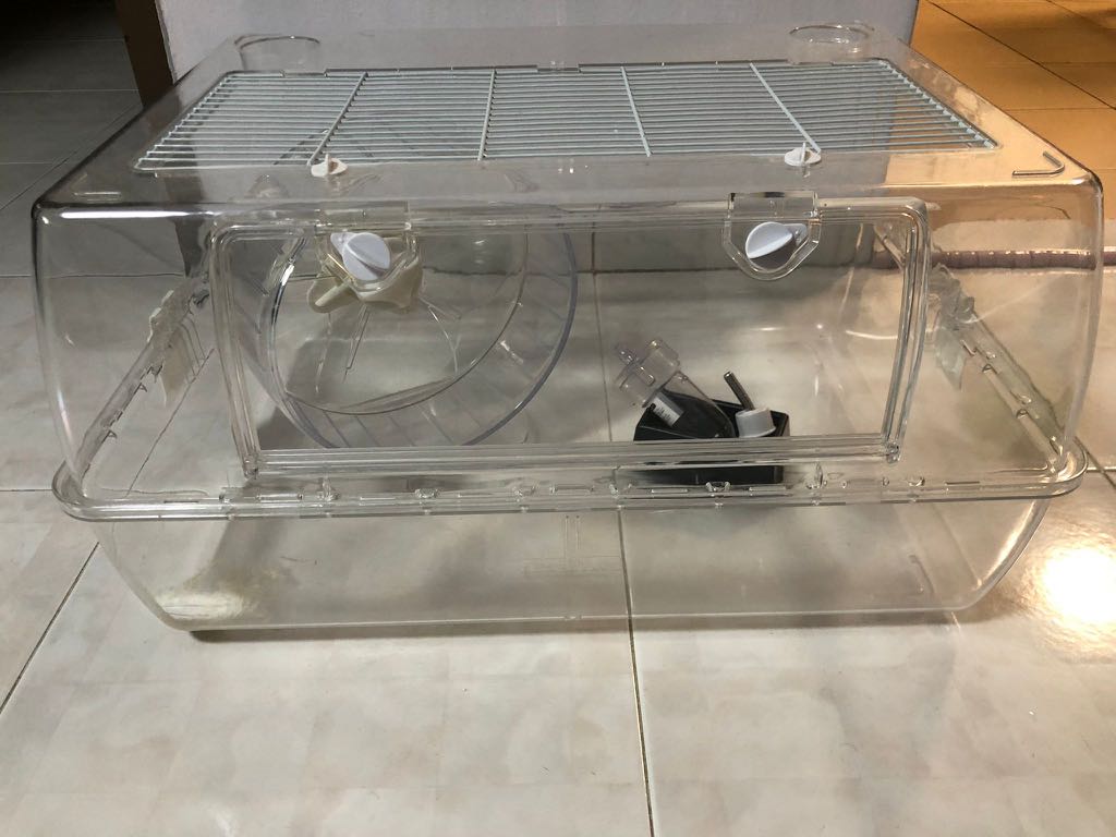 Rodent Cage, Pet Supplies, Homes & Other Pet Accessories on Carousell