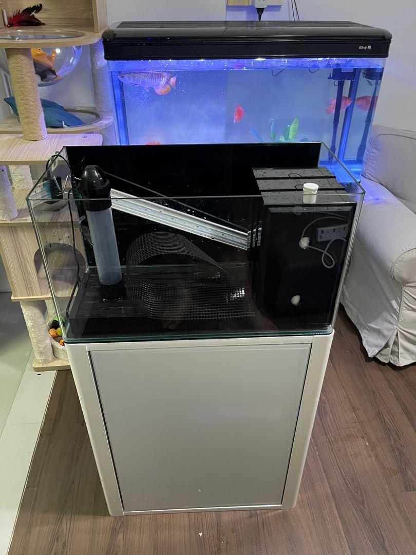 2ft x 1ft fish tank , with pump / light / cabinet rack, Pet Supplies ...