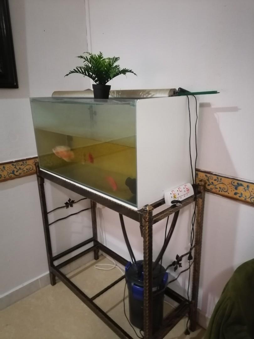 3 feet fish tank, plus the stand plus ocean free canister, Pet Supplies ...