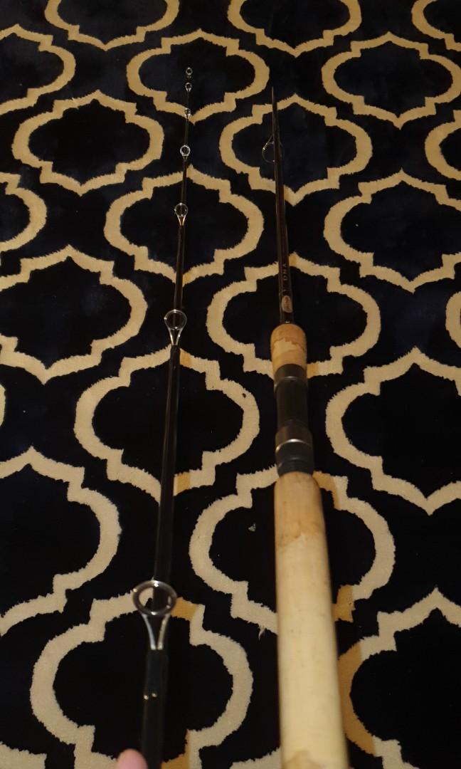 Loomis & Franklin DNA Spinning Rod, Sports Equipment, Fishing on Carousell