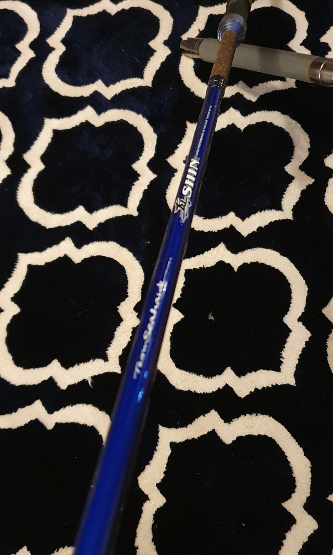 Team Seahawk "SHIN" Spinning Rod, Sports Equipment, Fishing on Carousell