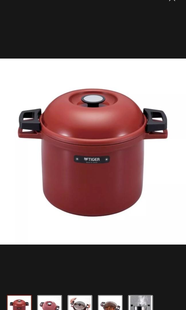 Tiger Thermal Magic Cooker NFH-G450 RJ, Furniture & Home Living ...