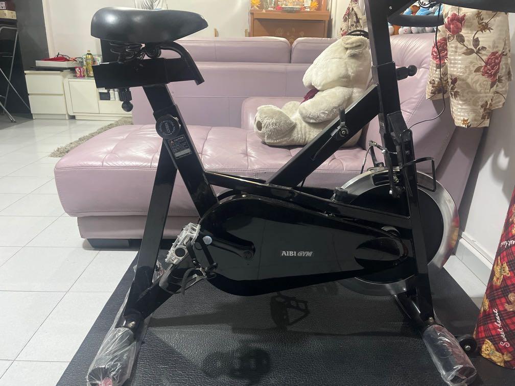AIBI bike, Sports Equipment, Exercise & Fitness, Cardio & Fitness ...