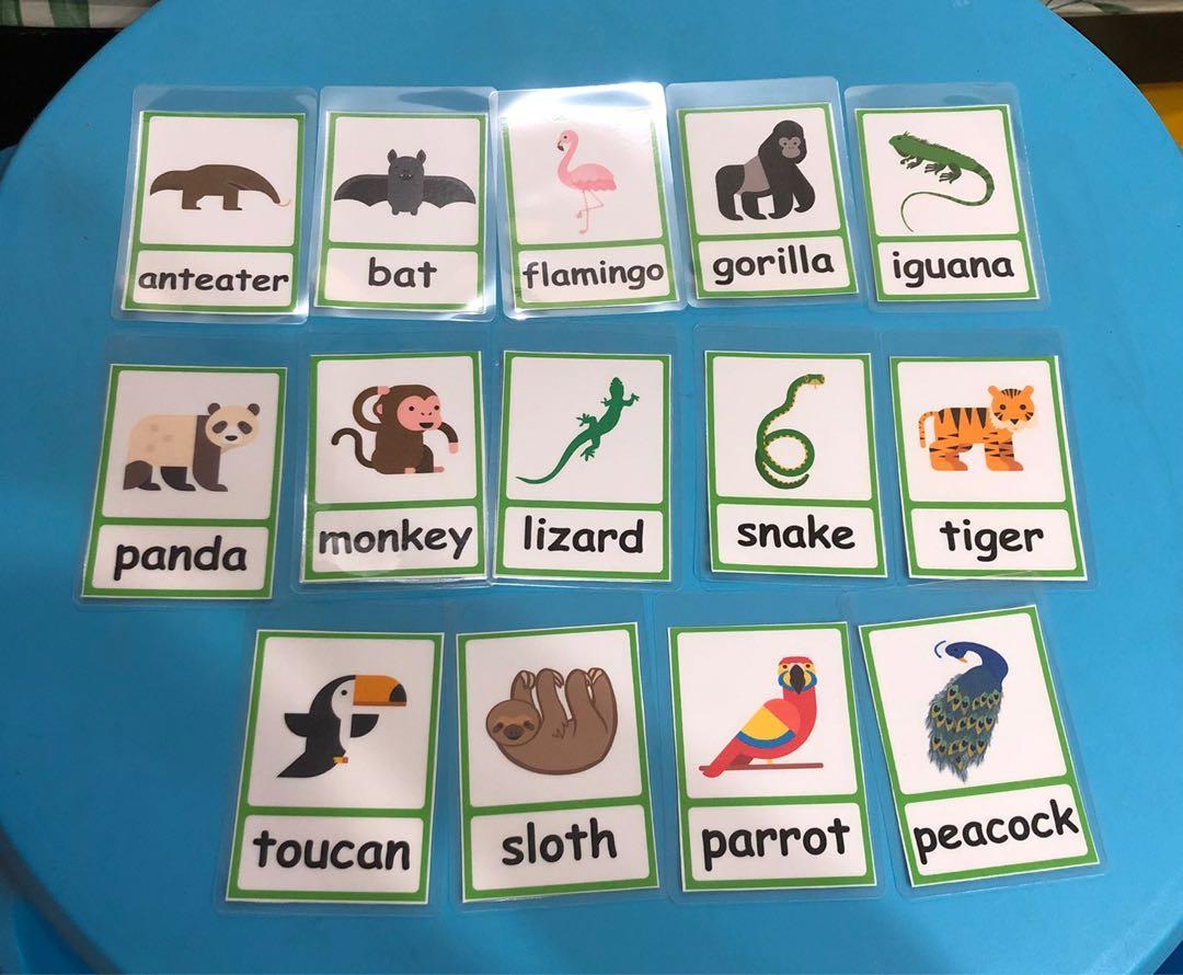 Laminated flashcard, Babies & Kids, Infant Playtime on Carousell