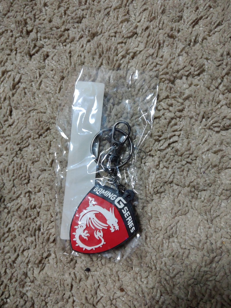 MSI Keychain, Computers & Tech, Parts & Accessories, Other Accessories ...