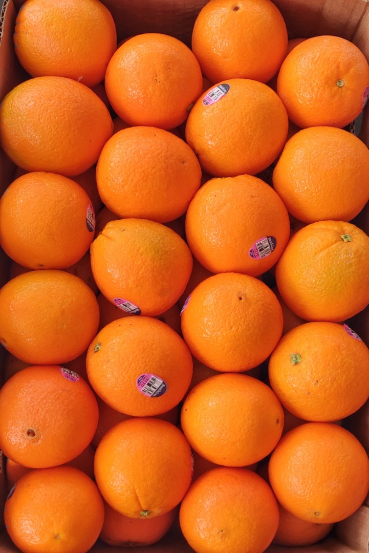 Sunkist Cara Cara Orange Red-Fleshed Navel Orange, Food & Drinks, Fresh ...