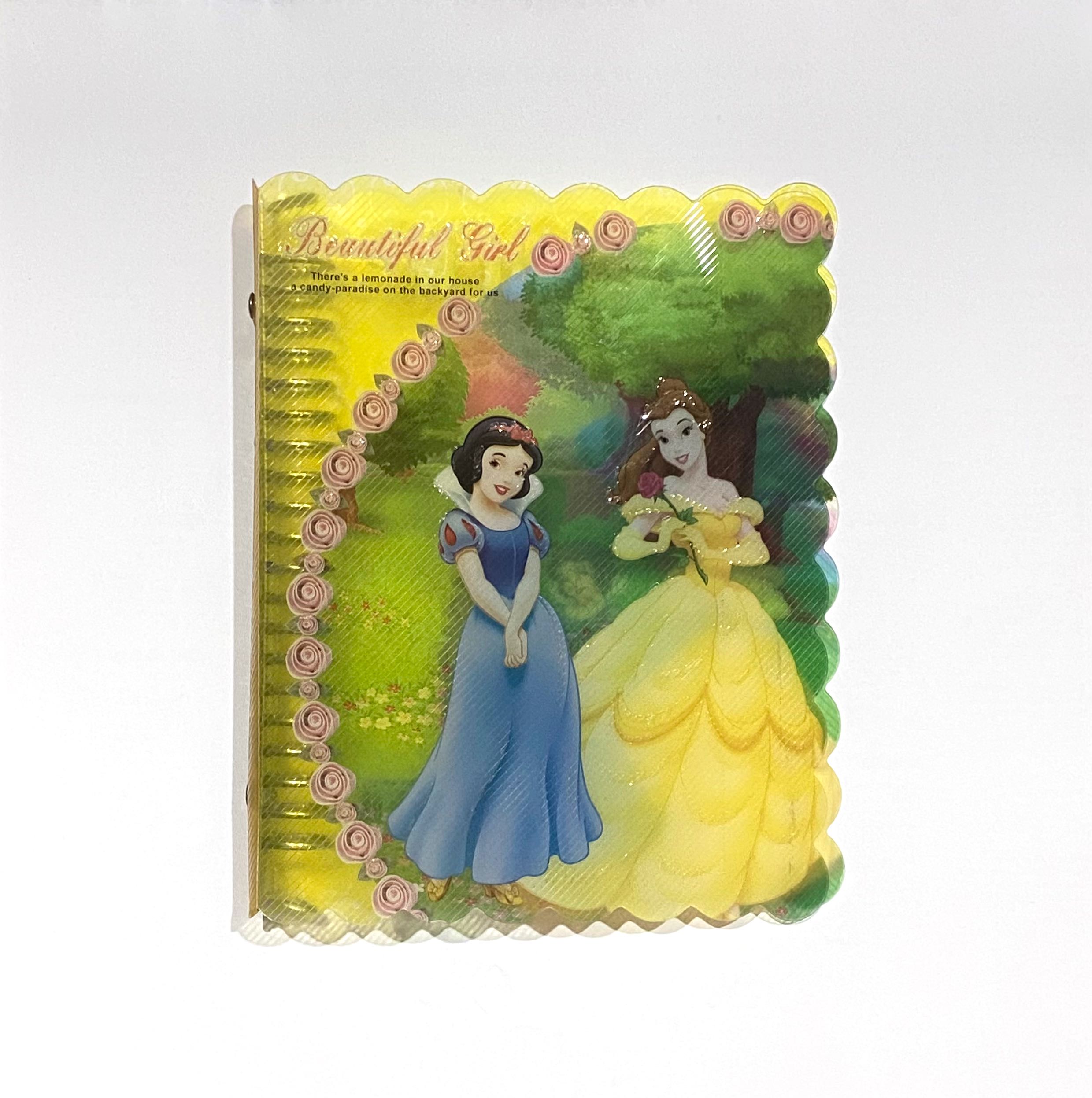 Binder Gliter Disney Princess Ukuran A5, Buku & Alat Tulis, Alat Tulis ...
