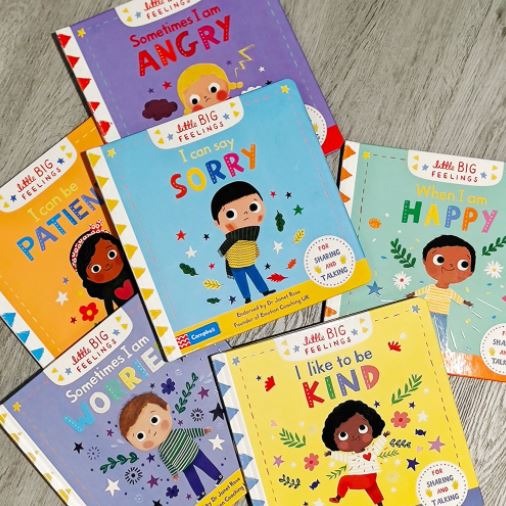 Free Mail! Set of 6 Little Big Feelings Board Books, Hobbies & Toys ...