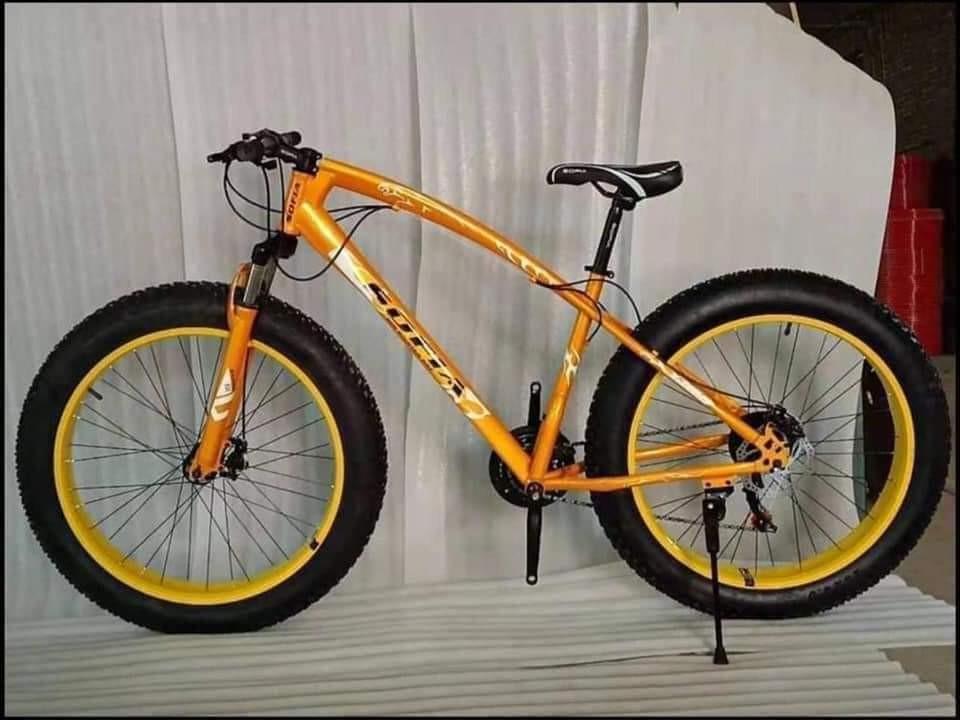 New Color Edition Sofia Fat Bike with Freebies, Sports Equipment, Bicycles & Parts, Bicycles on ...