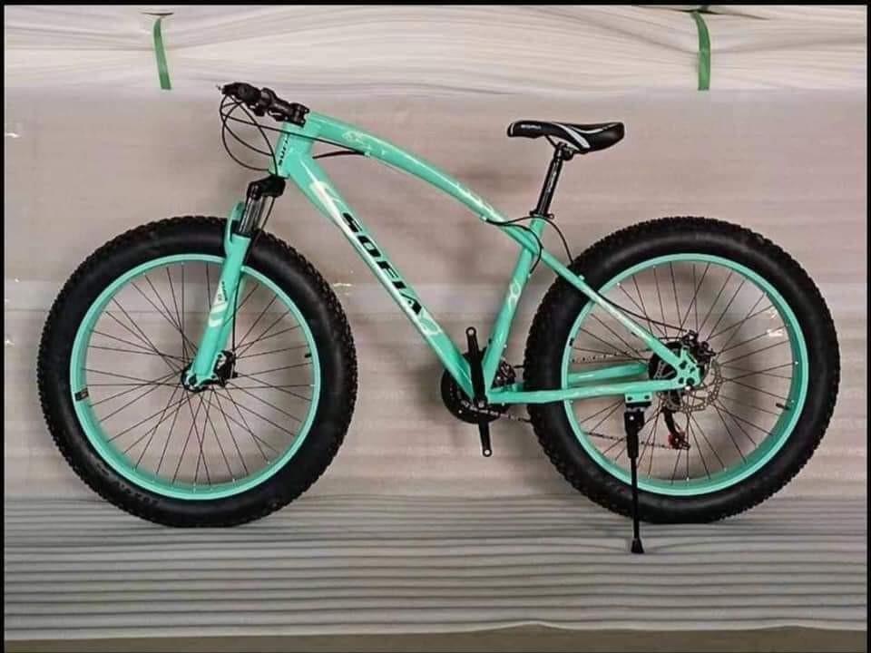 New Color Edition Sofia Fat Bike with Freebies, Sports Equipment, Bicycles & Parts, Bicycles on ...