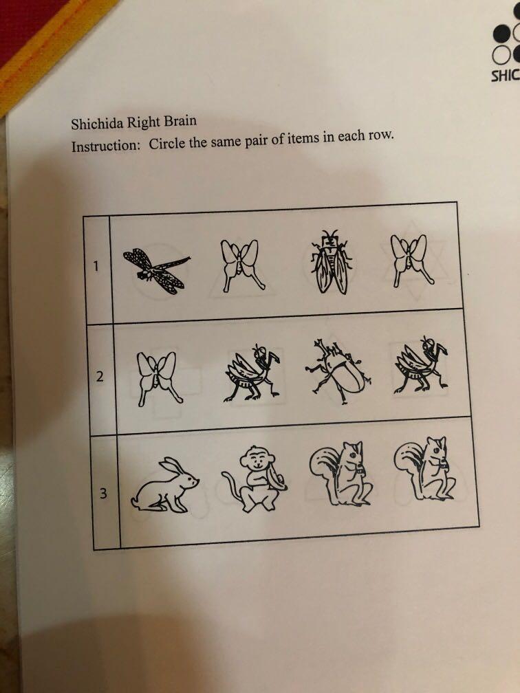 Shichida Japan Right brain training worksheet / printsheets with FREE a ...