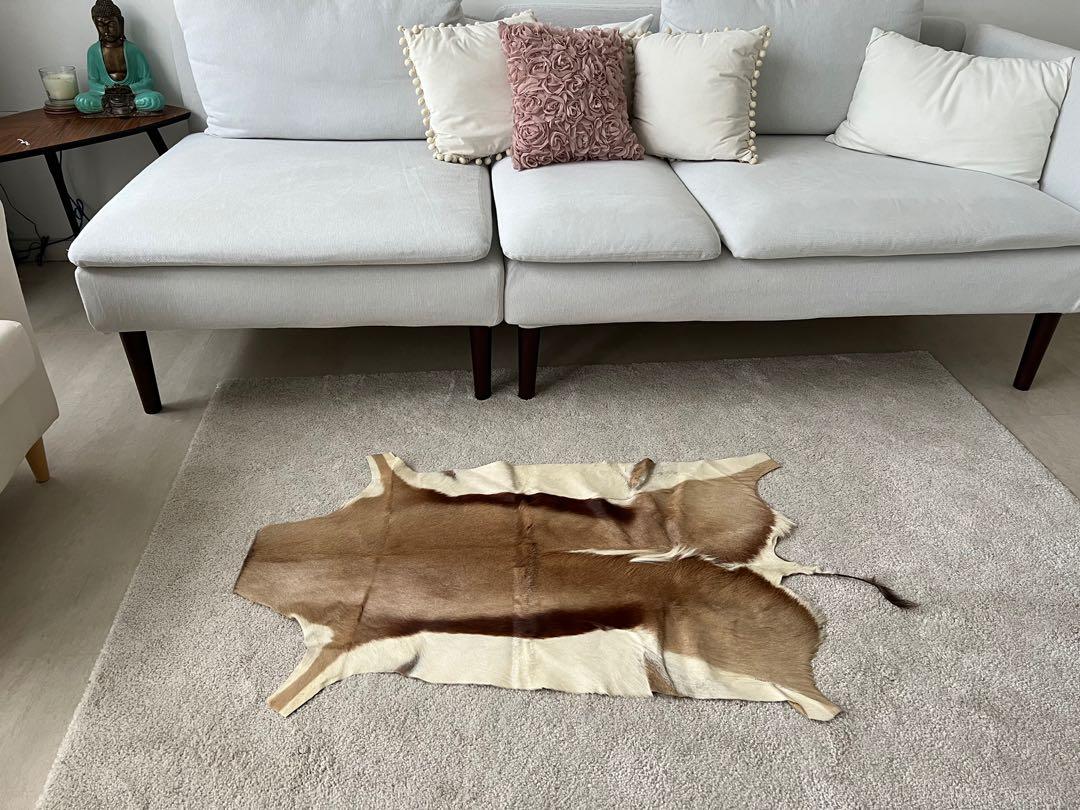 Springbok Hide Rug Carpet real animal skin, Furniture & Home Living ...