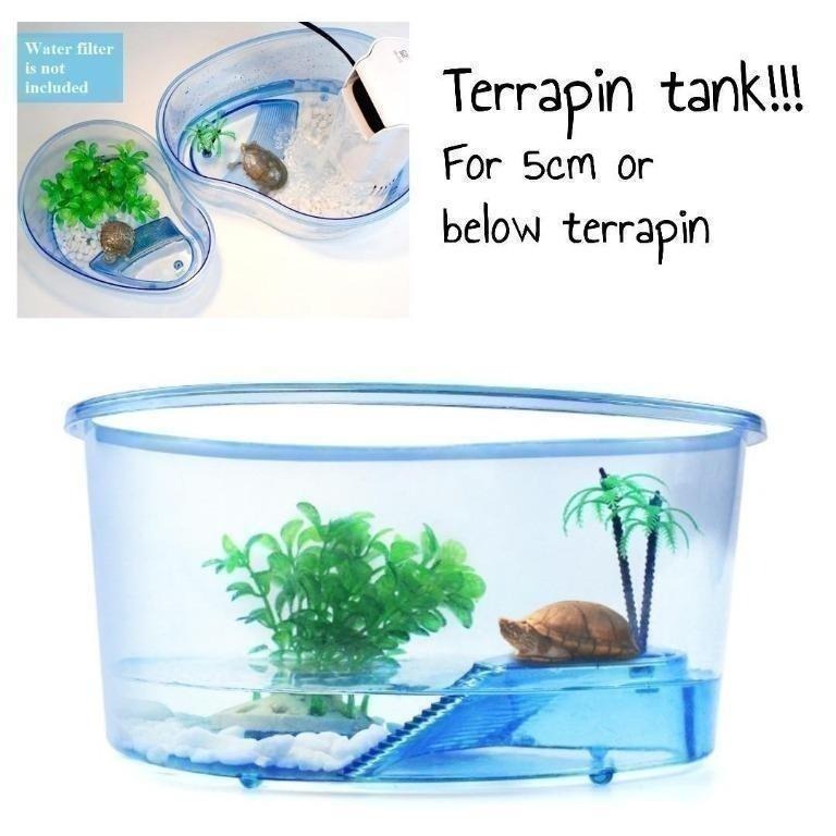 Terrapin Tank (S size), Pet Supplies, Homes & Other Pet Accessories on ...