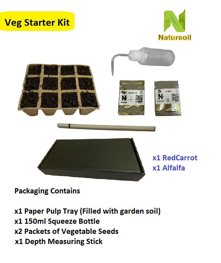 Vegetable Starter Kit, Furniture & Home Living, Gardening, Plants ...