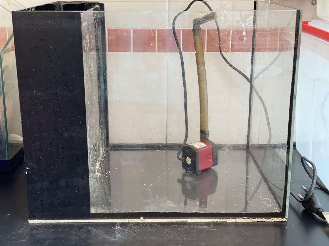 Internal over flow fish tank, Pet Supplies, Homes & Other Pet ...