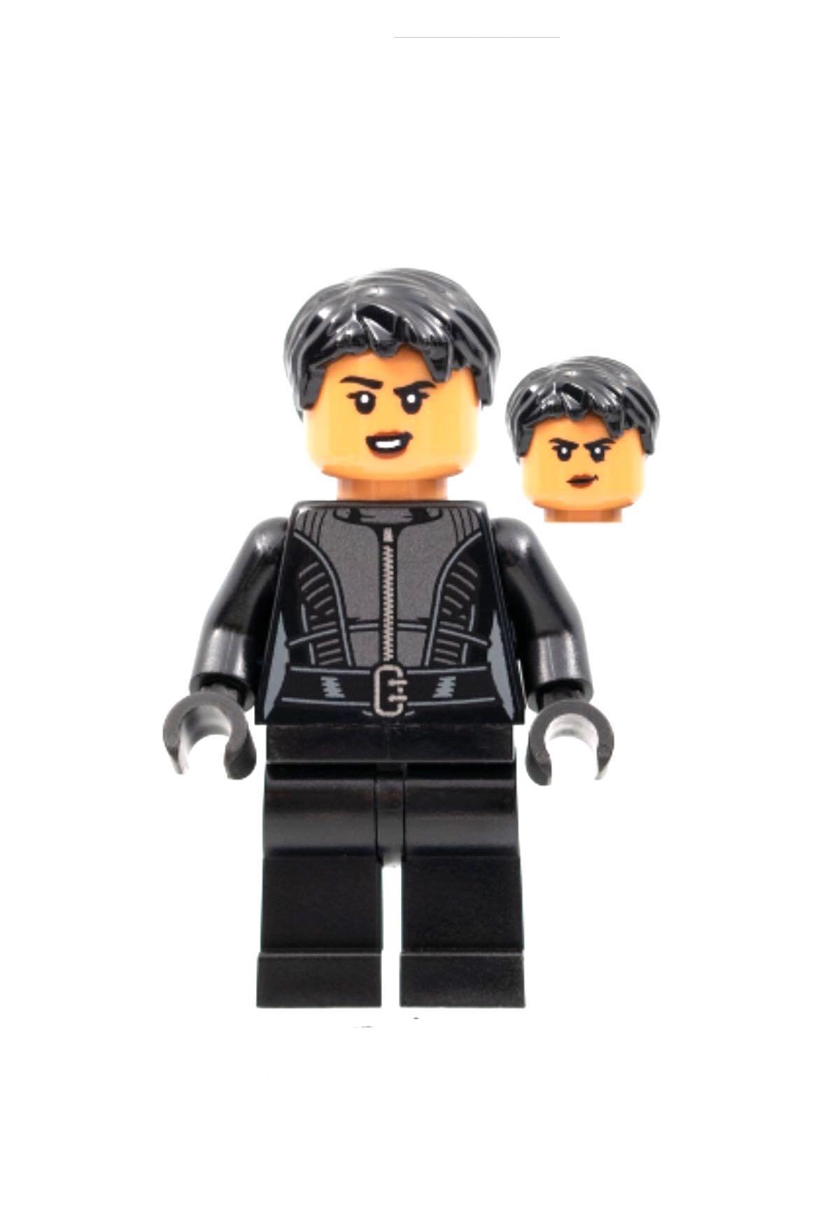 LEGO The Batman Selina Kyle, Hobbies & Toys, Toys & Games on Carousell