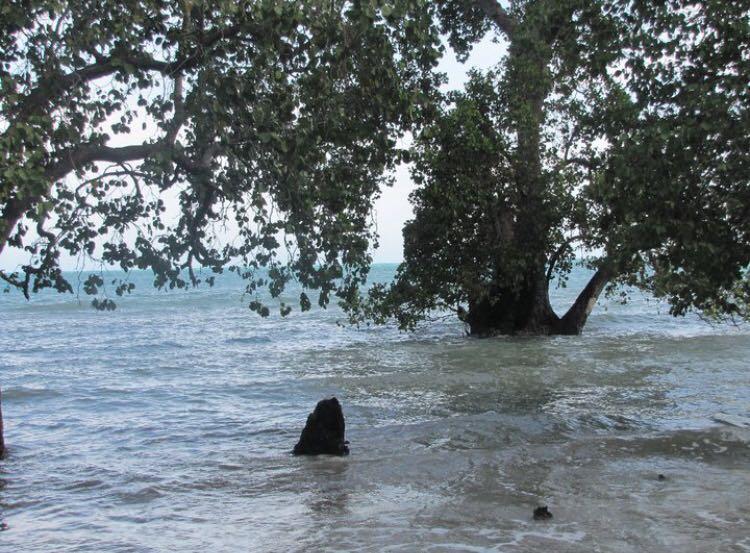 Palawan Beach Front property for sale Km58 San Rafael Puerto Princesa ...