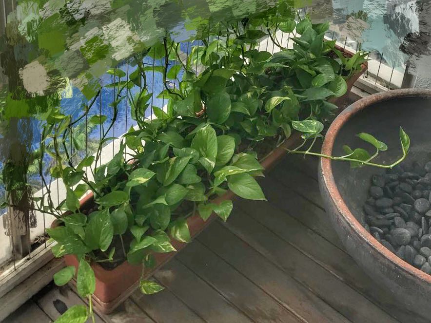 1 meter long planter with hole (plant is not included), Furniture ...