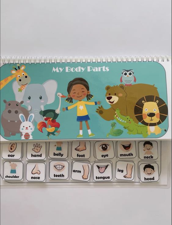 Children’s interactive book (My body parts), Hobbies & Toys, Toys ...