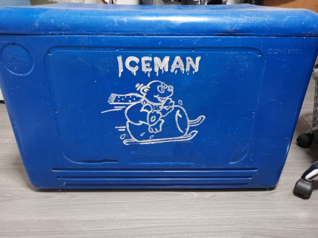 Commercial Cooler box, Everything Else on Carousell