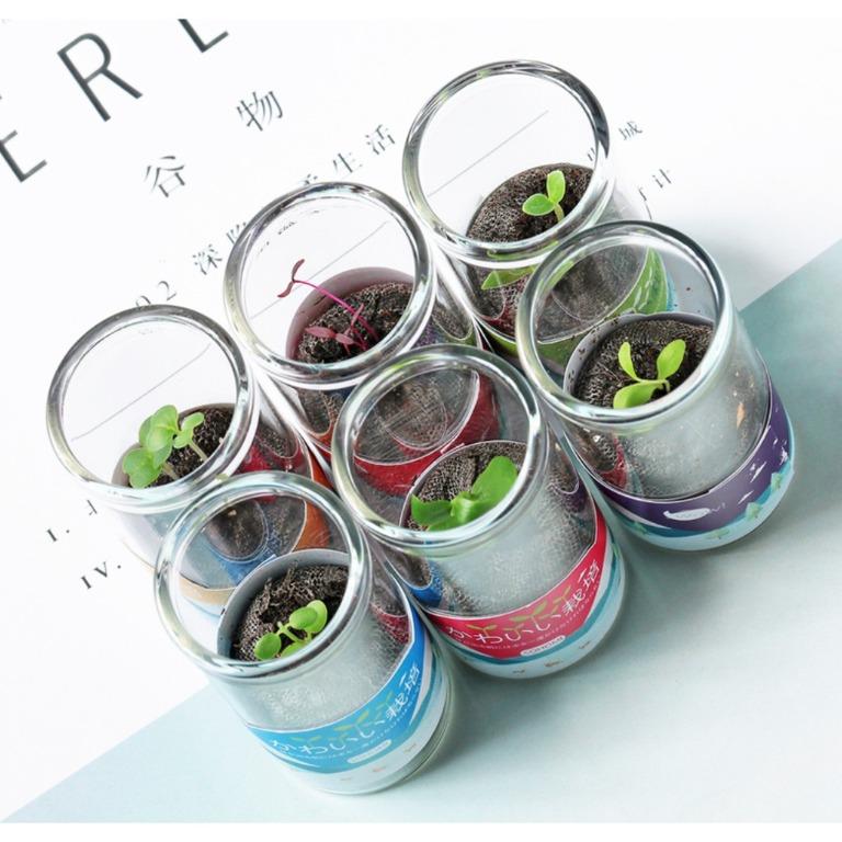 DIY Plant Kits Gardening in Mini Bottles Cute Gift Birthday Goodie Bags ...