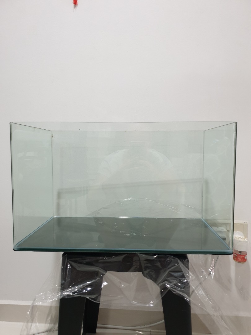 Extra-large Glass Fish Tank with Rounded Corners, Pet Supplies, Homes ...