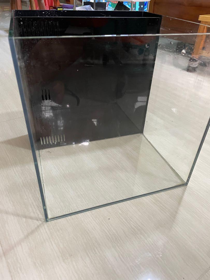 Fish tank 30 cm cube, Pet Supplies, Homes & Other Pet Accessories on ...