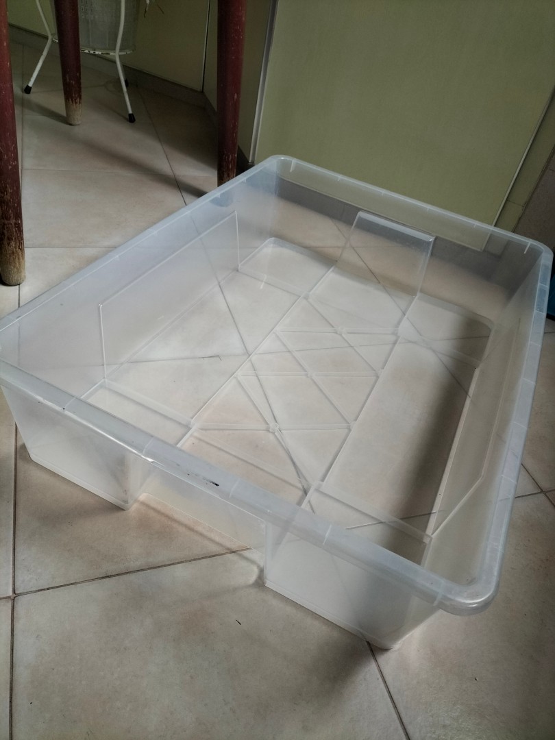 large plastic basin, Furniture & Home Living, Kitchenware & Tableware ...