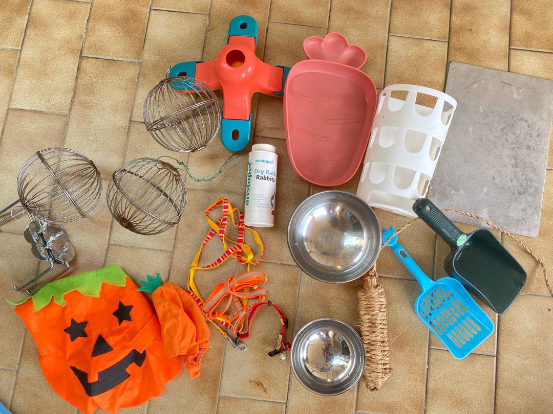 Rabbit accessories, Pet Supplies, Homes & Other Pet Accessories on ...