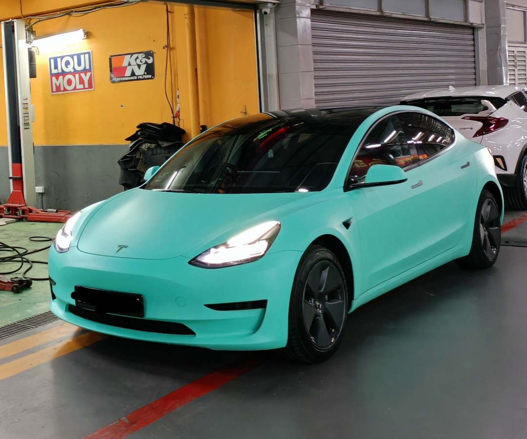 Tesla Model 3 Magic Collar Kit, Car Accessories, Accessories on Carousell