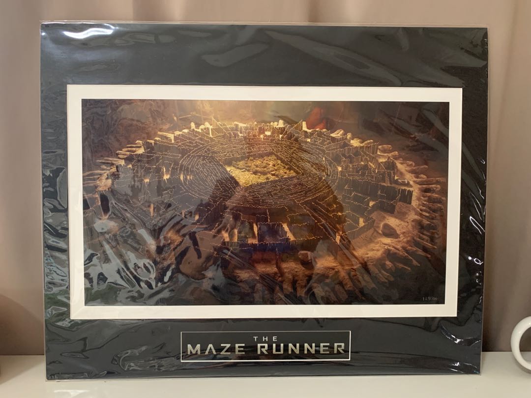 The Maze Runner Limited Edition Print, Hobbies & Toys, Memorabilia ...