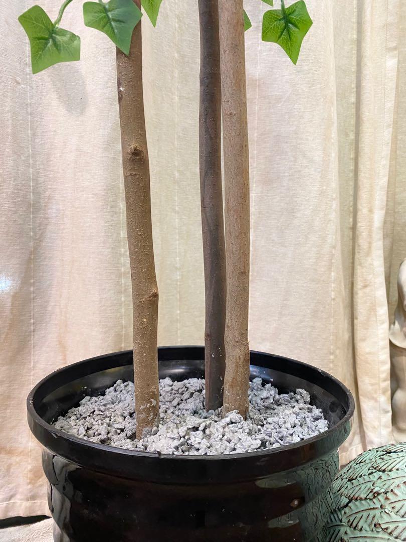 168 cm tall 3 Topiary tree pokok with pot, Furniture & Home Living ...