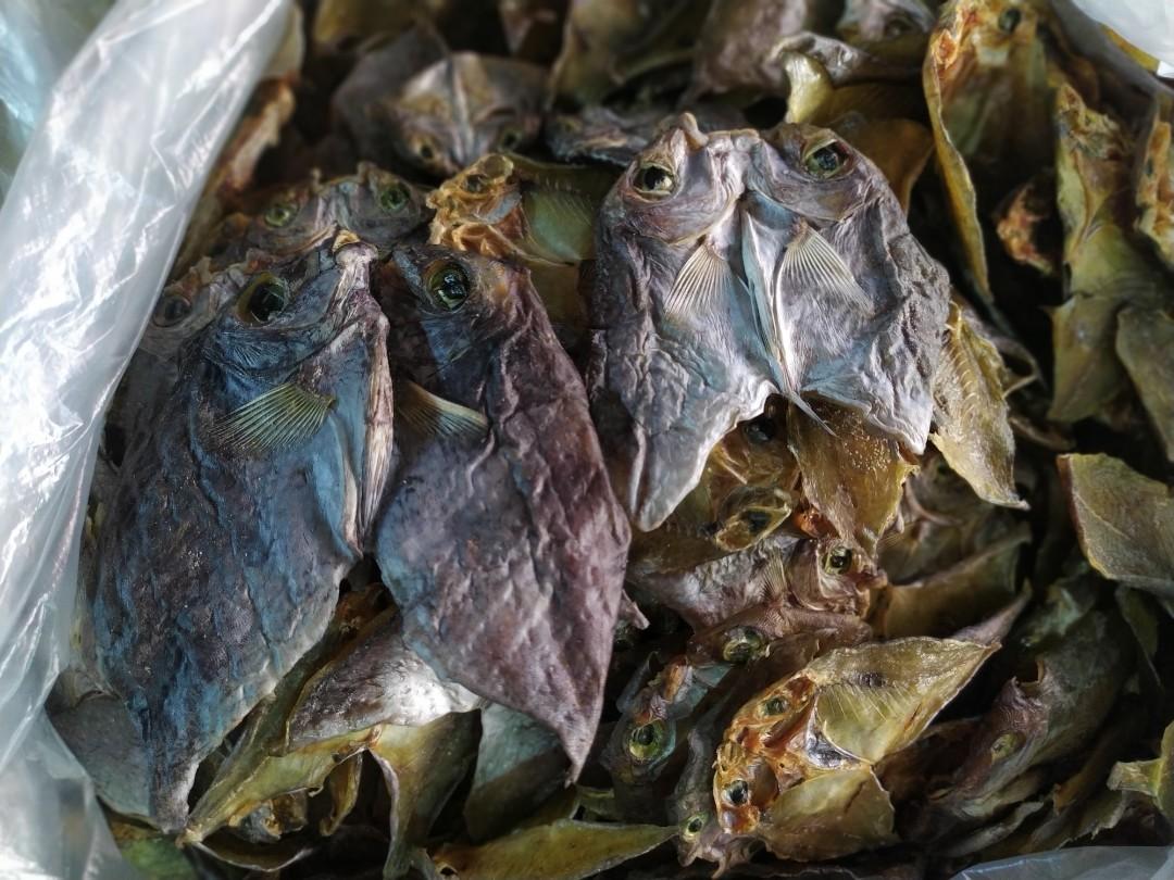 DRIED FISH (TUYO) DANGIT, Food & Drinks, Other Food & Drinks on Carousell