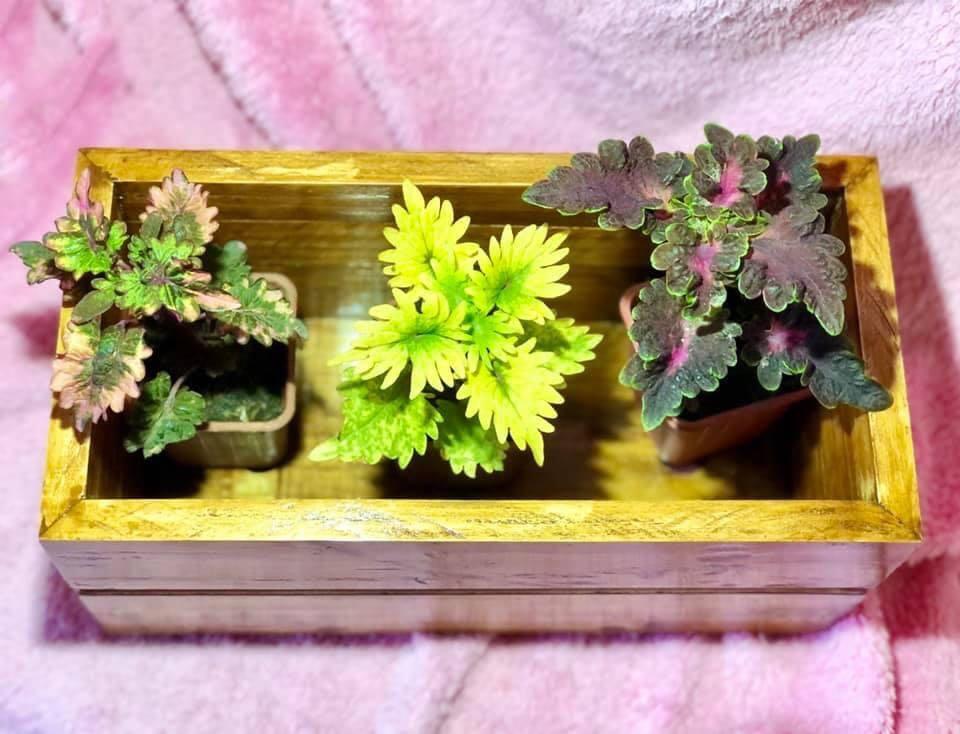 Rustic Floating Planter Box, Furniture & Home Living, Furniture, Other ...