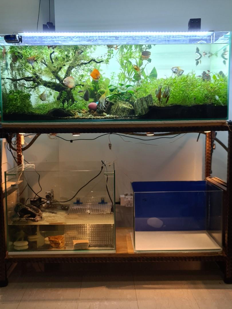 4ft Aquarium with Rack, LED light, Filter Pump set, Pet Supplies, Homes ...