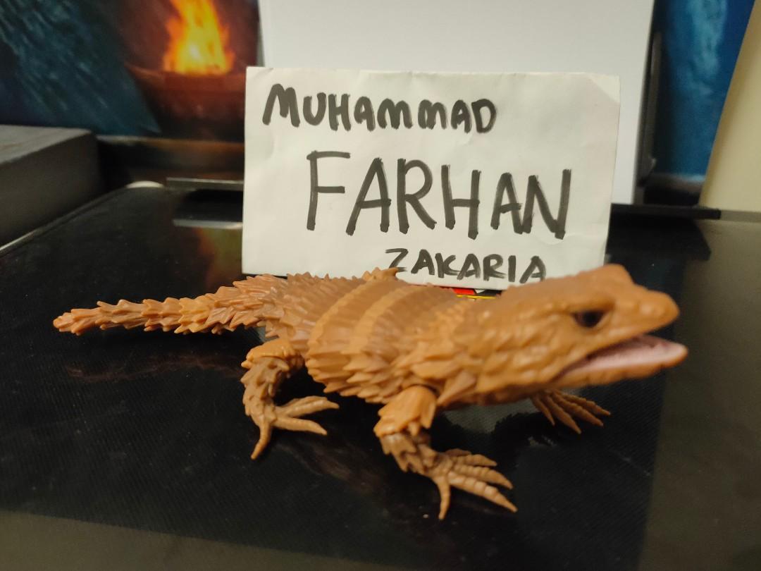 Bandai geckos, Hobbies & Toys, Toys & Games on Carousell