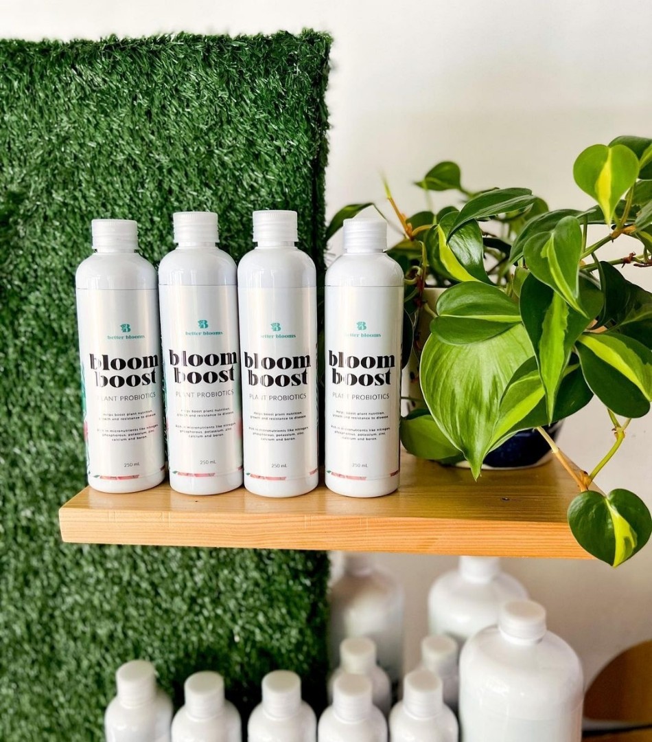 Bloom Boost Fertilizer, Everything Else, Others on Carousell