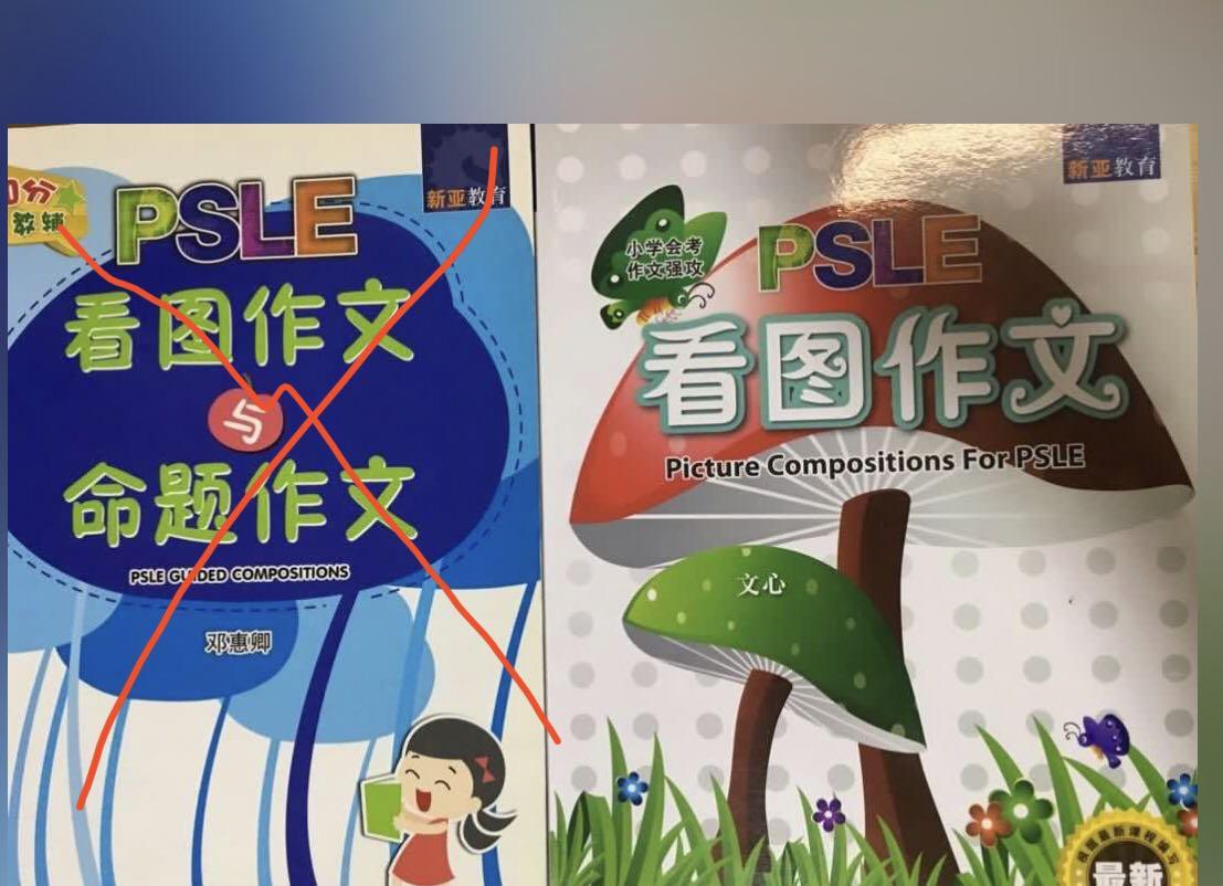 Chinese model compo p4, p5, p6 psle, Hobbies & Toys, Books & Magazines ...