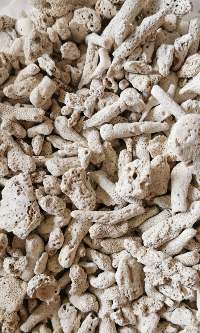 Coral bone / chip for aquaium / fish tank filtration, Furniture & Home ...