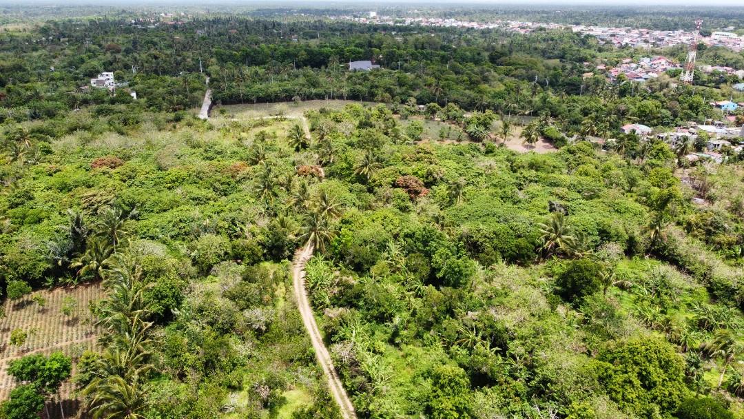 Farm lot in Mendez Cavite, Property, For Sale, Lot on Carousell