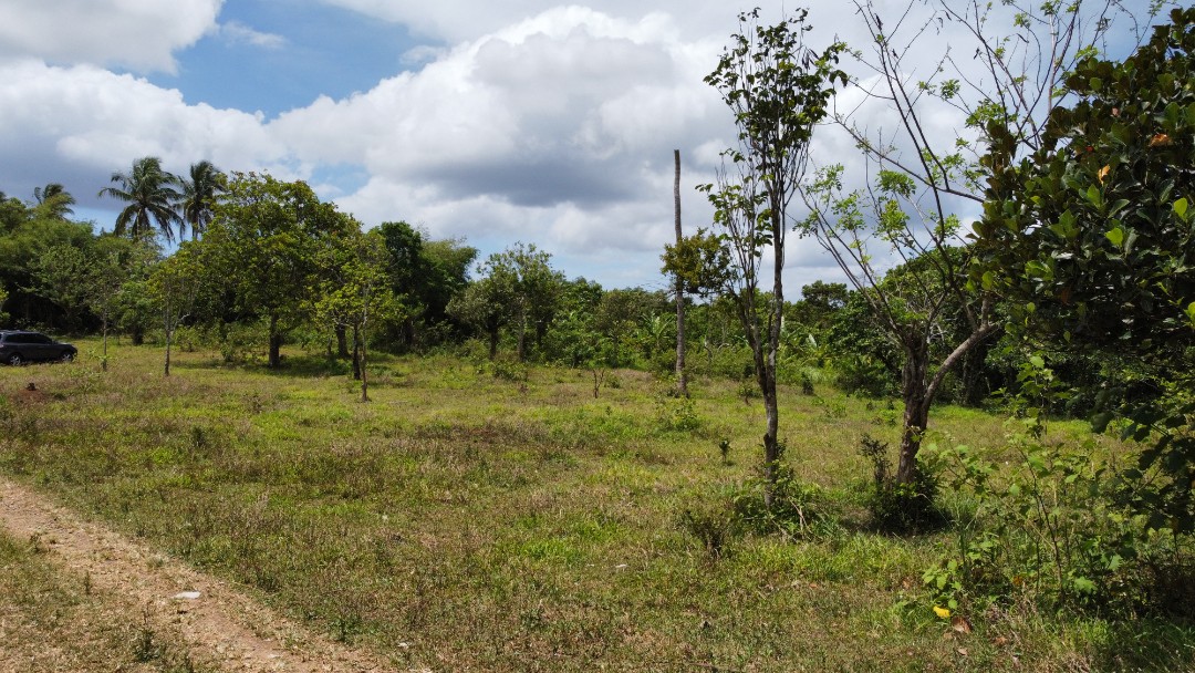 Farm lot in Mendez Cavite, Property, For Sale, Lot on Carousell