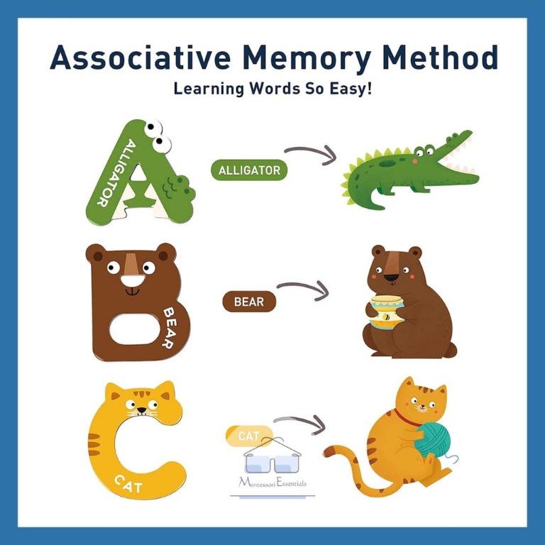 Mideer Letter Magnets [Kids Alphabets Learning Magnet] HZ1296, Hobbies ...