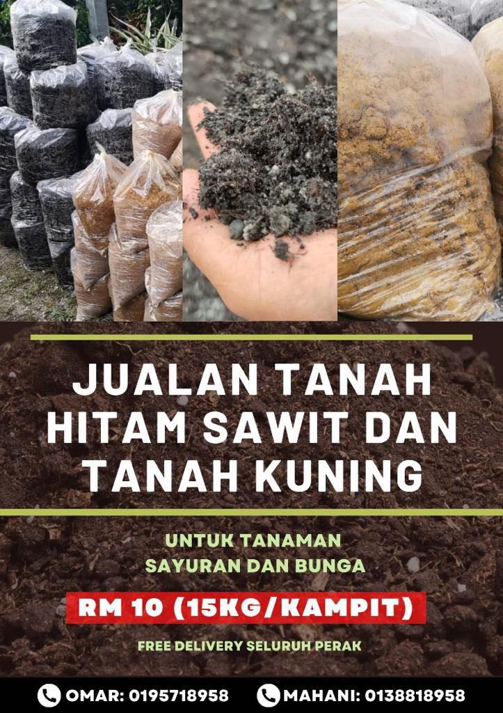 Tanah Hitam sawit dan Tanah Kuning Tanaman Sayur atau Bunga, Services ...