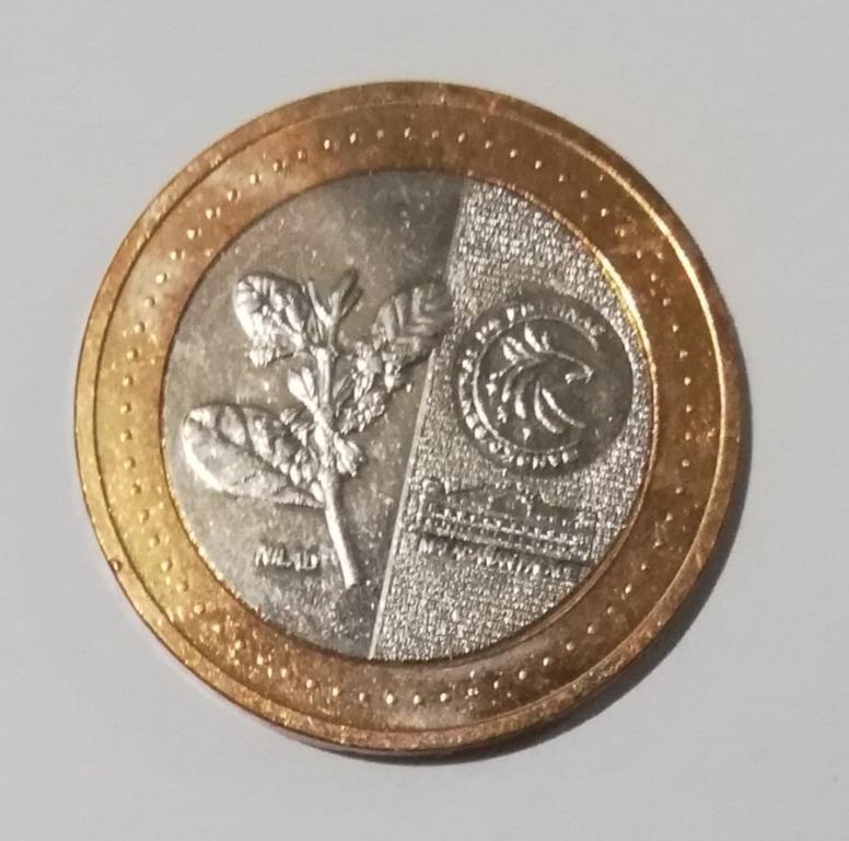 20 Peso 2020 Error Coin (SELLING), Hobbies & Toys, Memorabilia ...